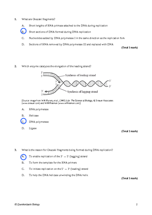 IB Bio - Lab Report Banana DNA Extraction - Lab Report Banana DNA ...