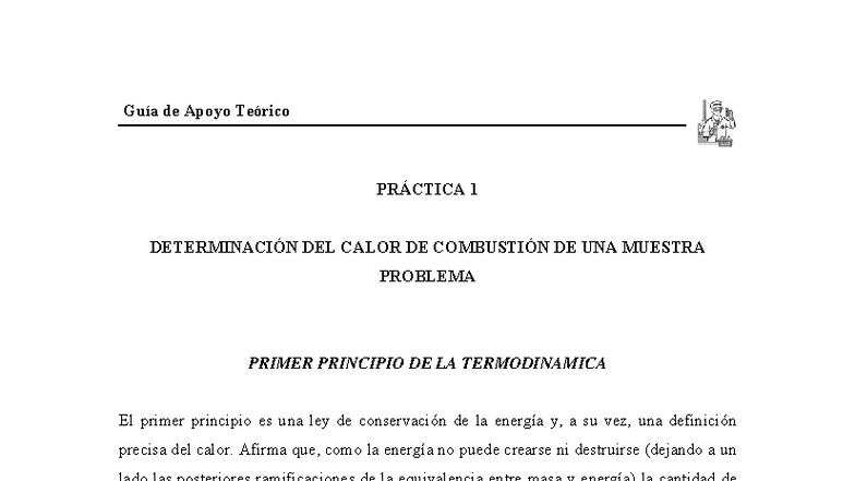 Guía de Apoyo Teórico: Calor de Combustión y Primer Principio de ...