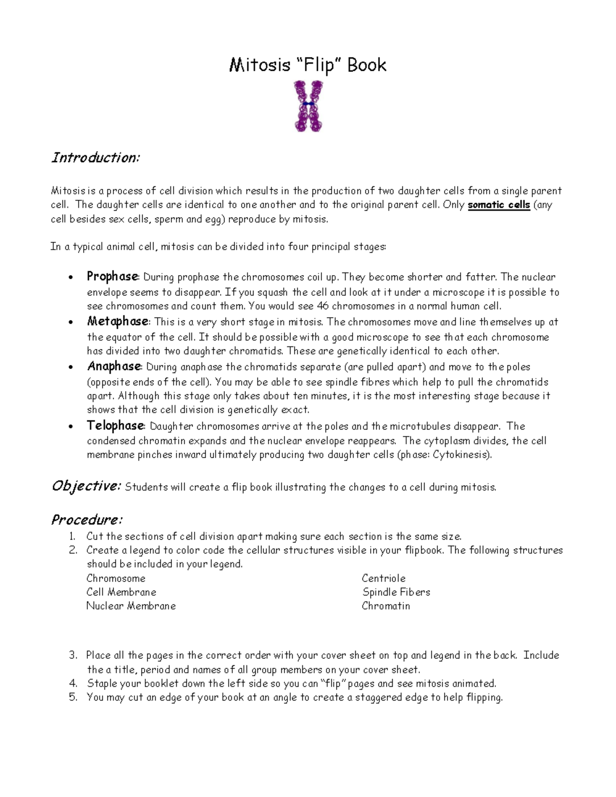 Mitosis Flip Book Project: Stages and Cell Structures Explained - Studocu