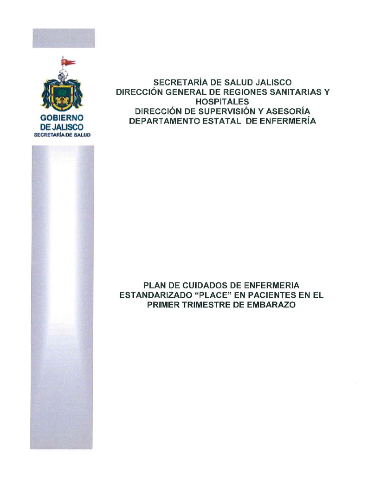 Plan de Cuidados de Enfermería (PLACE) en el Primer Trimestre de ...