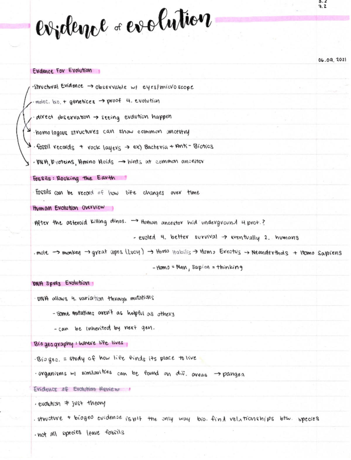 Evolutionary Evidence Summarized - Key Notes and Insights - Studocu