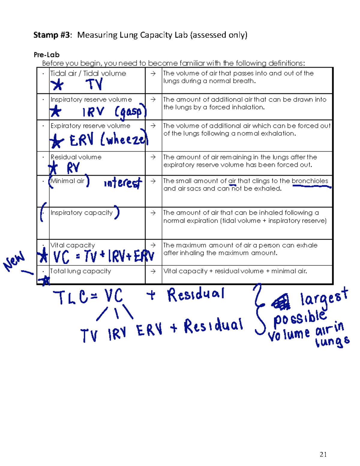Unit 11 - Stamp 3: Measuring Lung Capacity Lab Report - Studocu