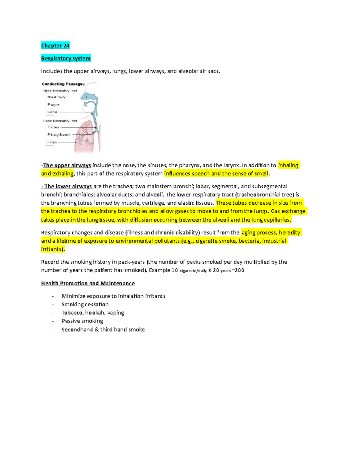 Quiz #3: Respiratory System Overview and Key Concepts - Studocu