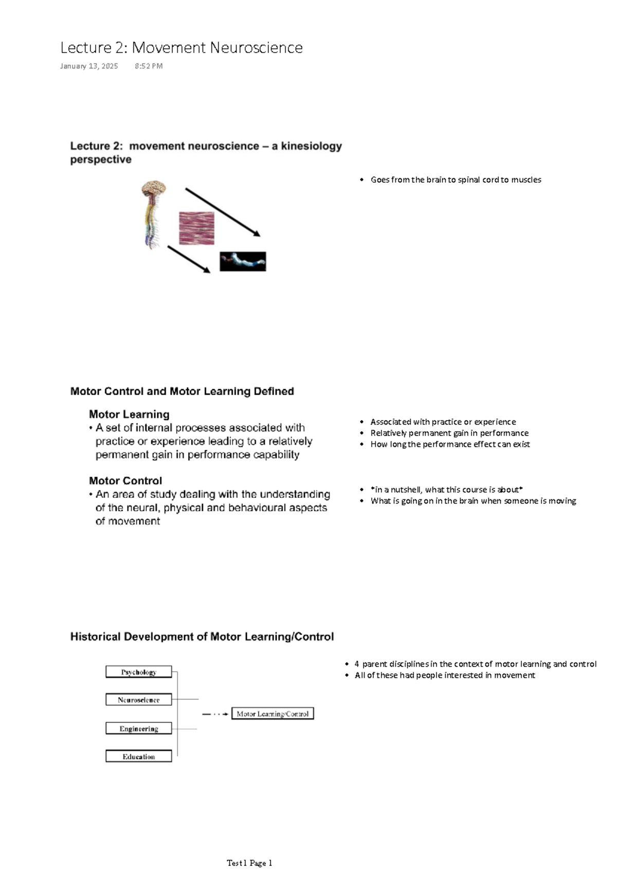 Lecture 2: Movement Neuroscience - Key Concepts & Cognition Insights - Studocu