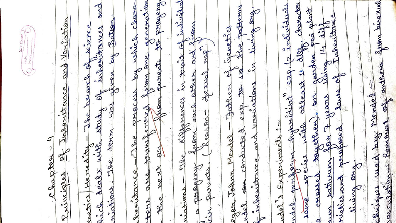 Genetics 24: Mendelian Inheritance and Gene Variations Study Guide ...