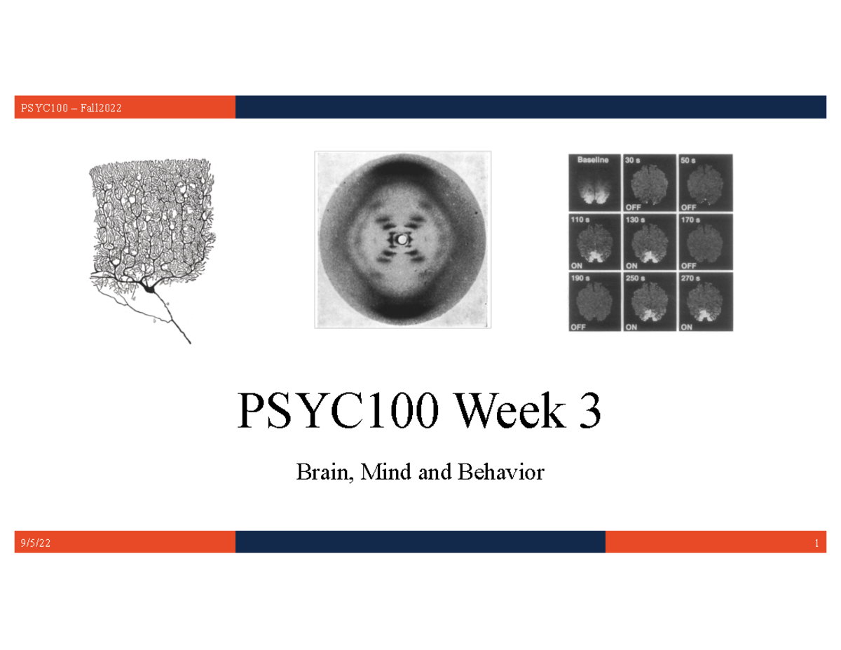 Psyc100 ch3 slides TUE - chapter 3 ppt 1 - PSYC100 Week 3 Brain, Mind ...
