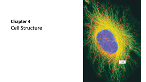 Biology 101: Chapter 1 - Understanding the Six Properties of Life - Studocu