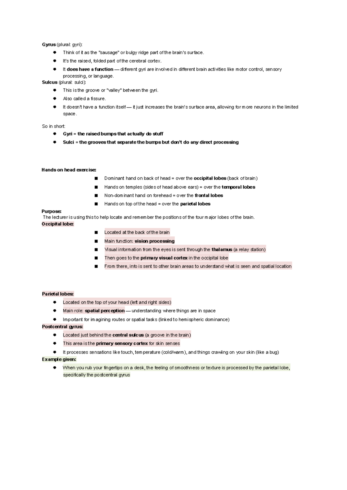 Psych 109 - Lecture 29: Anatomy & Function of the Brain and Lobes - Studocu