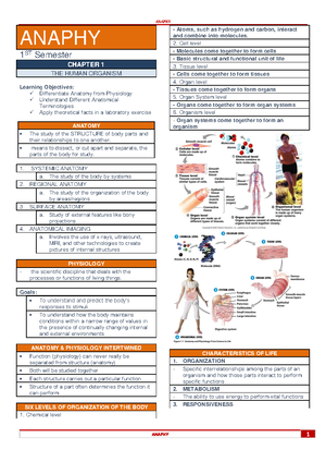 [Solved] The chemical compound that is represented by the acronym DNA ...