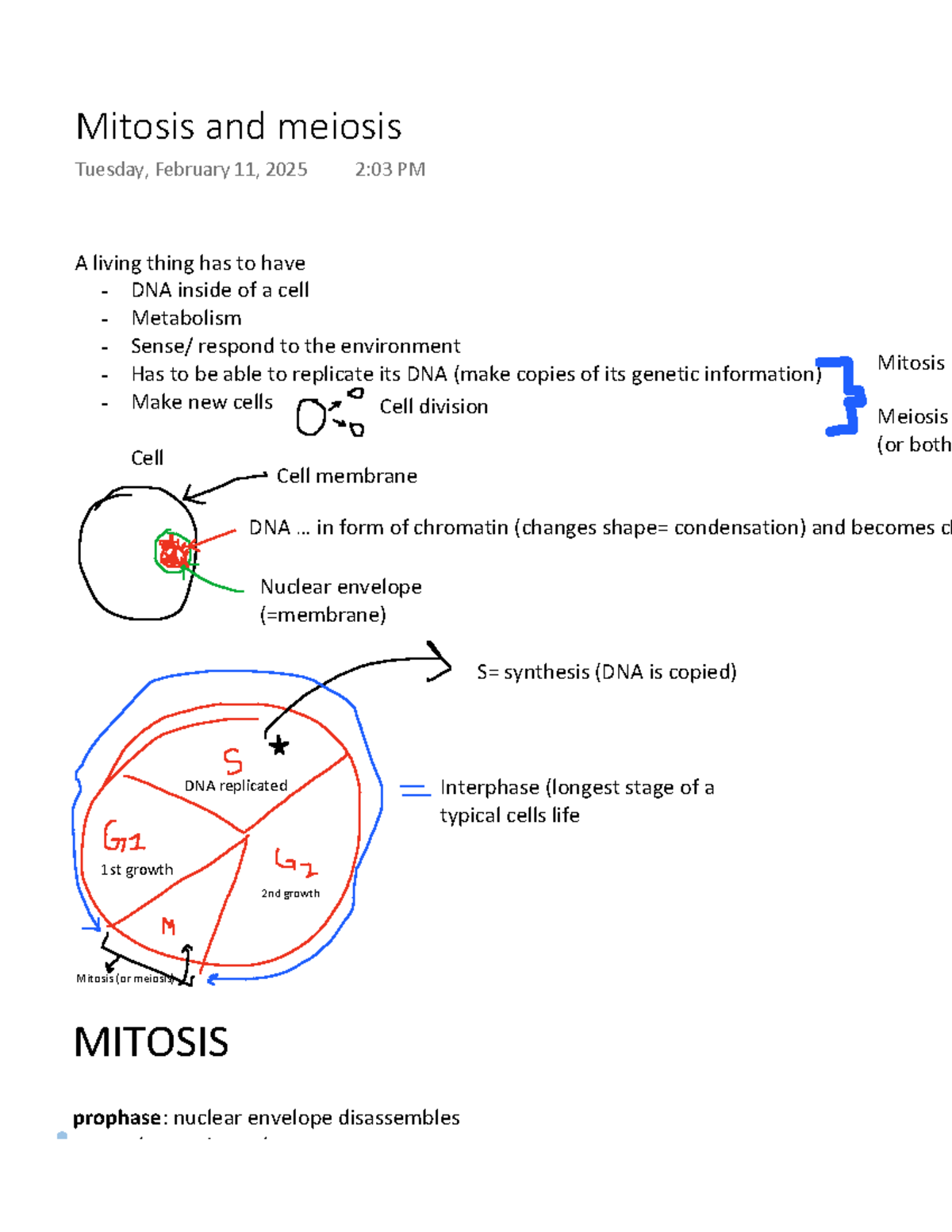 Mitosis and Meiosis Overview: Cellular Division Processes Explained - A ...