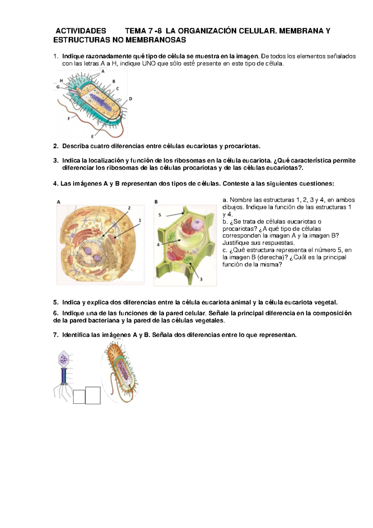 Actividades Tema 7-8: Organización Celular y Estructuras Membranosas - Studocu