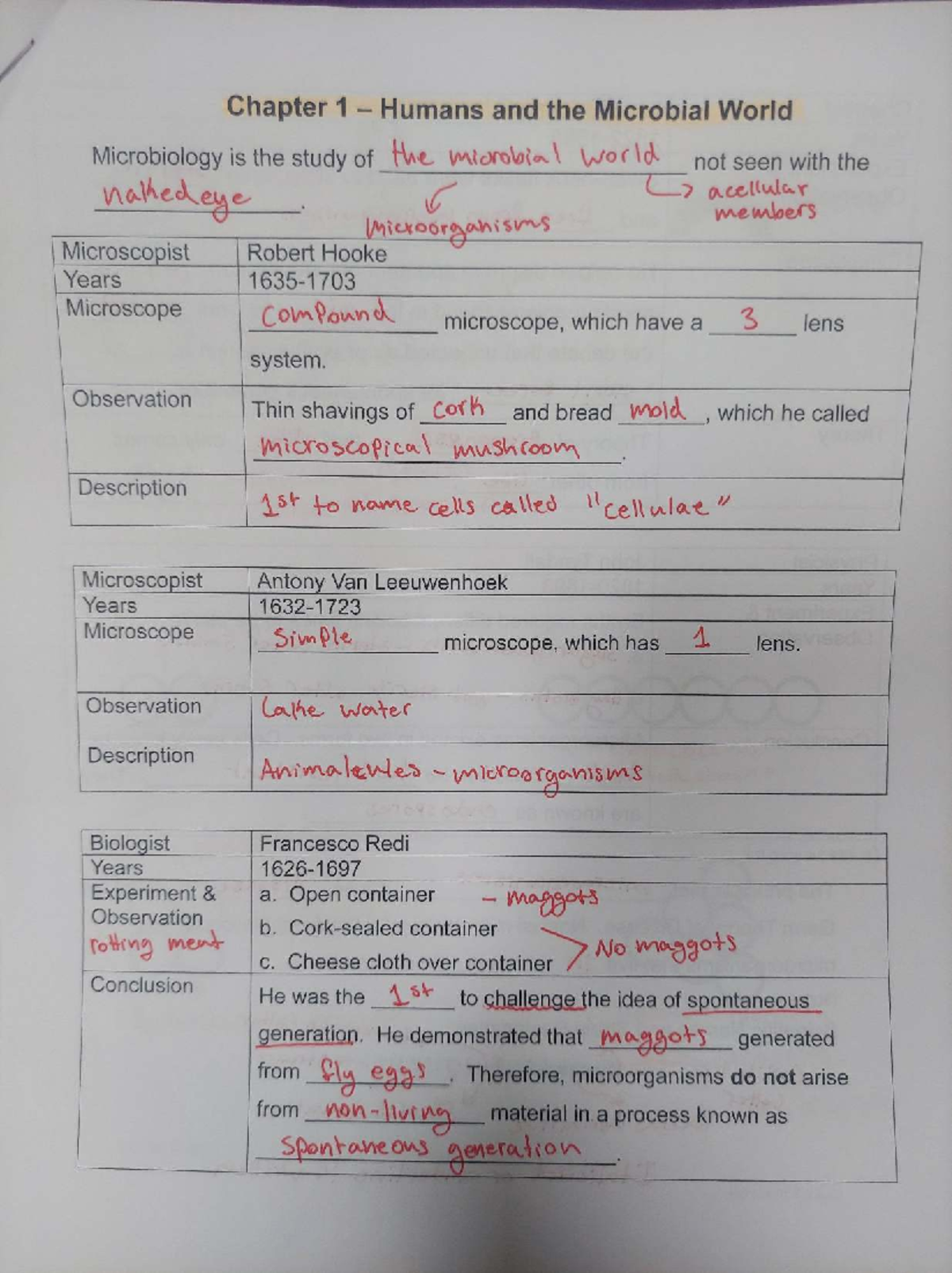 Microbiology Chapter 1: Humans and the Microbial World Study Guide ...