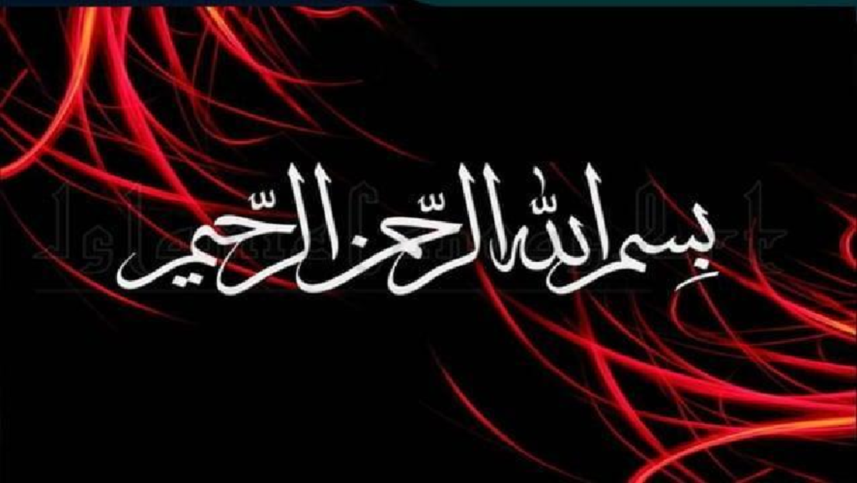 Endangered Species of Wildlife in Pakistan (EN) - A Study by M. Arsalan ...