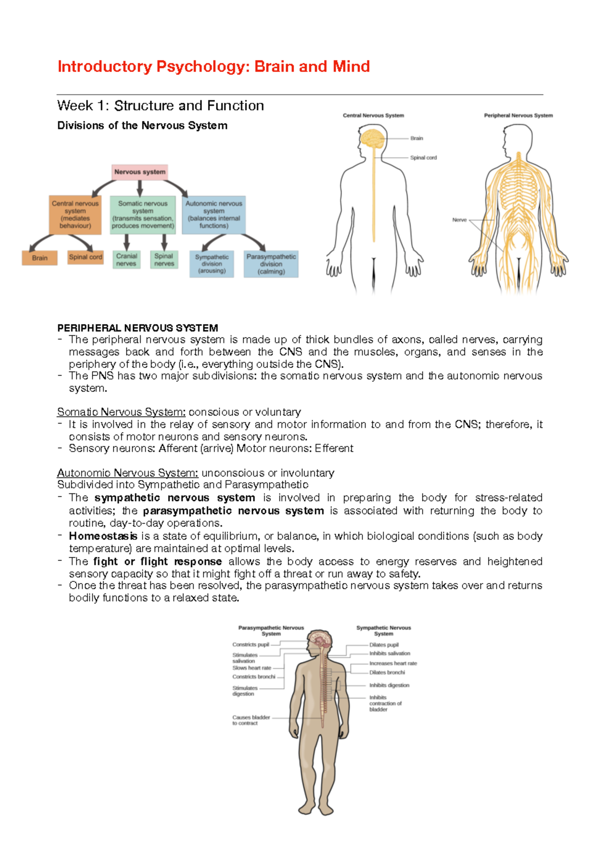Intro Psych: Brain and Mind Week 1-3 Study Notes - Studocu