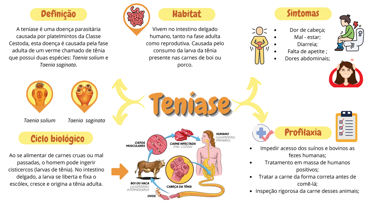 MAPA: Estudo sobre Teníase e Cisticercose no Intestino Delgado - Studocu