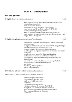 Prac 4 TEM online 2025 - template - Biology 345: Practical 4 ...