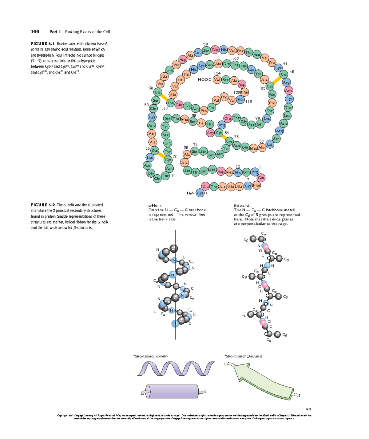 Biochemistry (2)-48 - 100 Part 1 Building Blocks of the Cell NEL ...