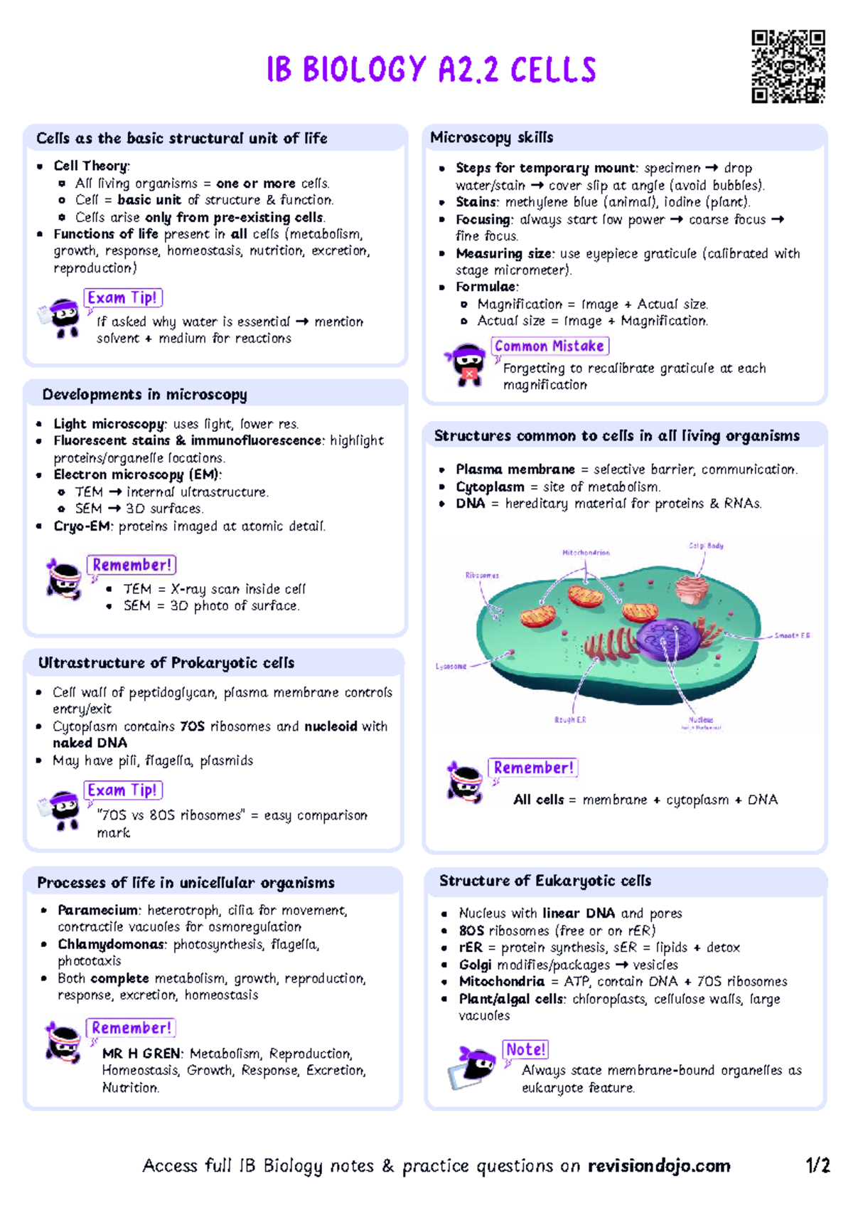 A2.2 Cells - Comprehensive Study Notes for IB Biology - Studocu
