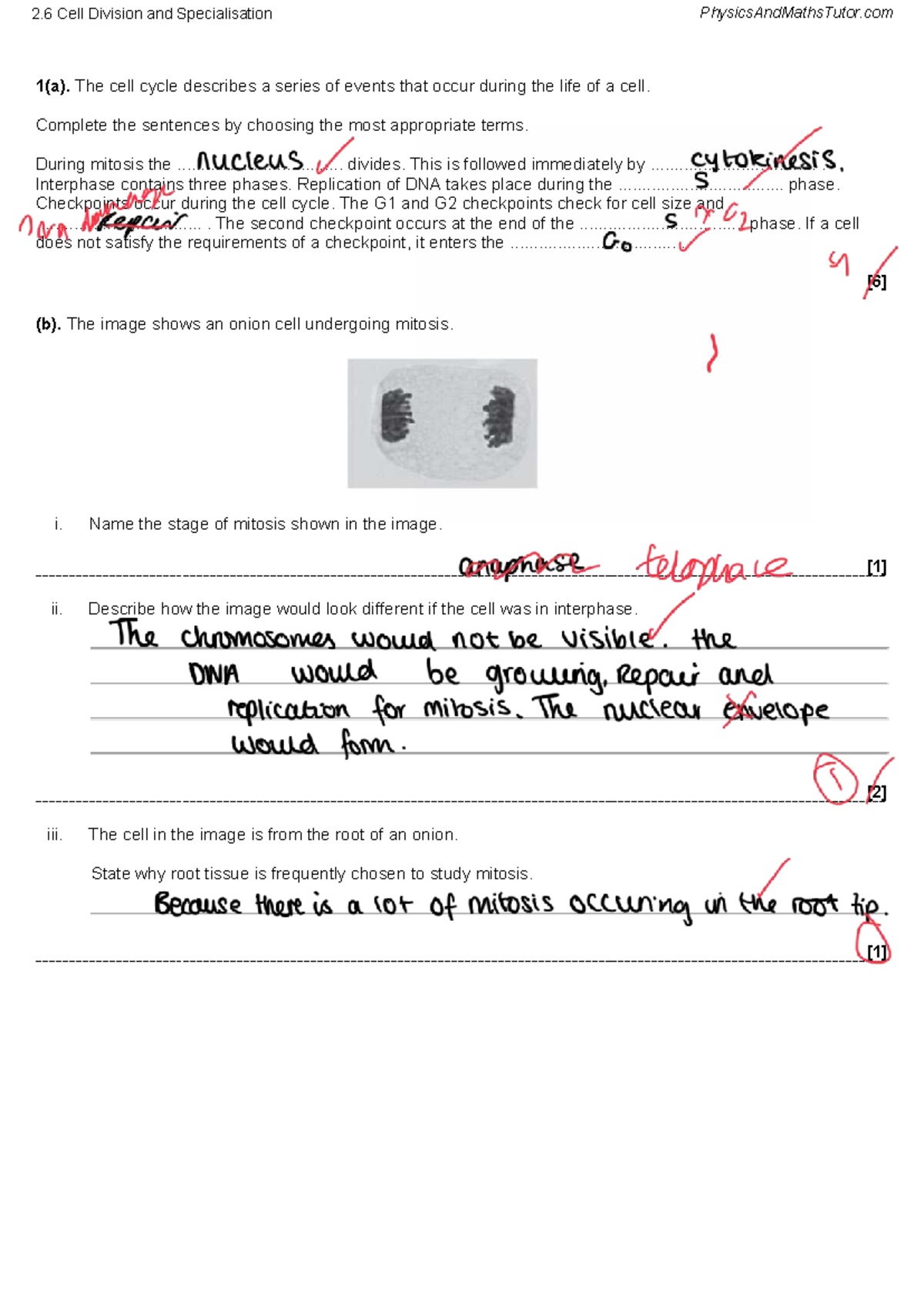 2.6 Cell Division and Specialisation Study Guide - Studocu