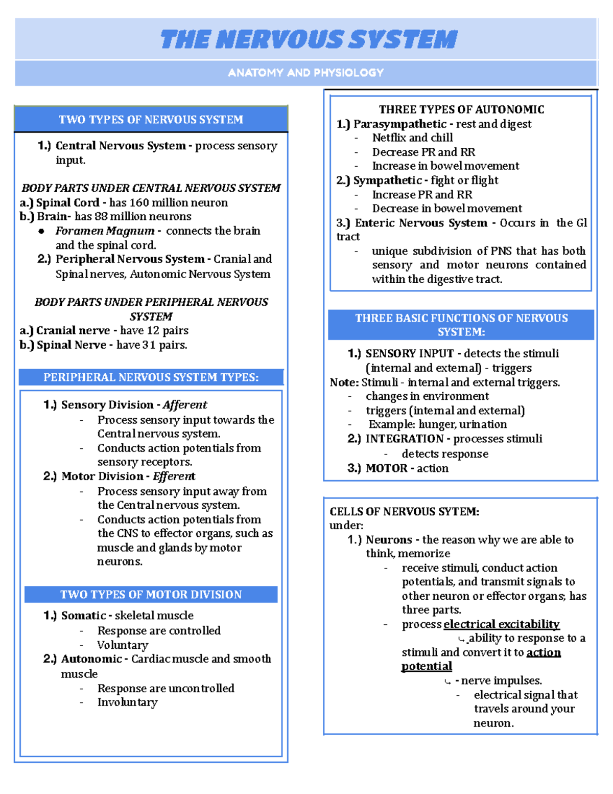Nervous System Notes - THE NERVOUS SYSTEM ANATOMY AND PHYSIOLOGY TWO ...