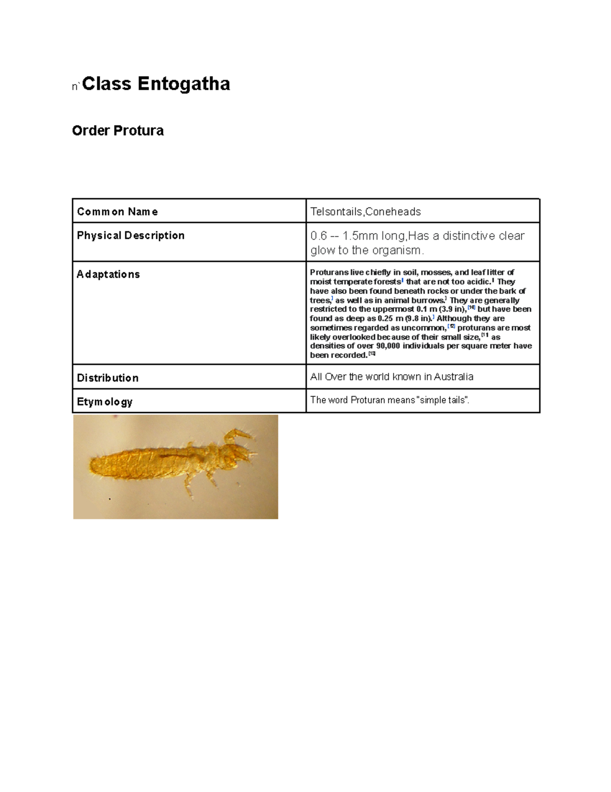 Ento list - i love bugs - n`Class Entogatha Order Protura Common Name ...