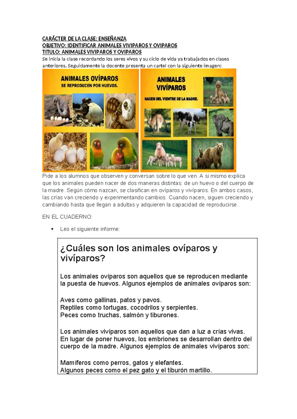 ANIMALES VIVIPAROS Y OVIPAROS: CLASE Y ACTIVIDADES 2025 - Studocu