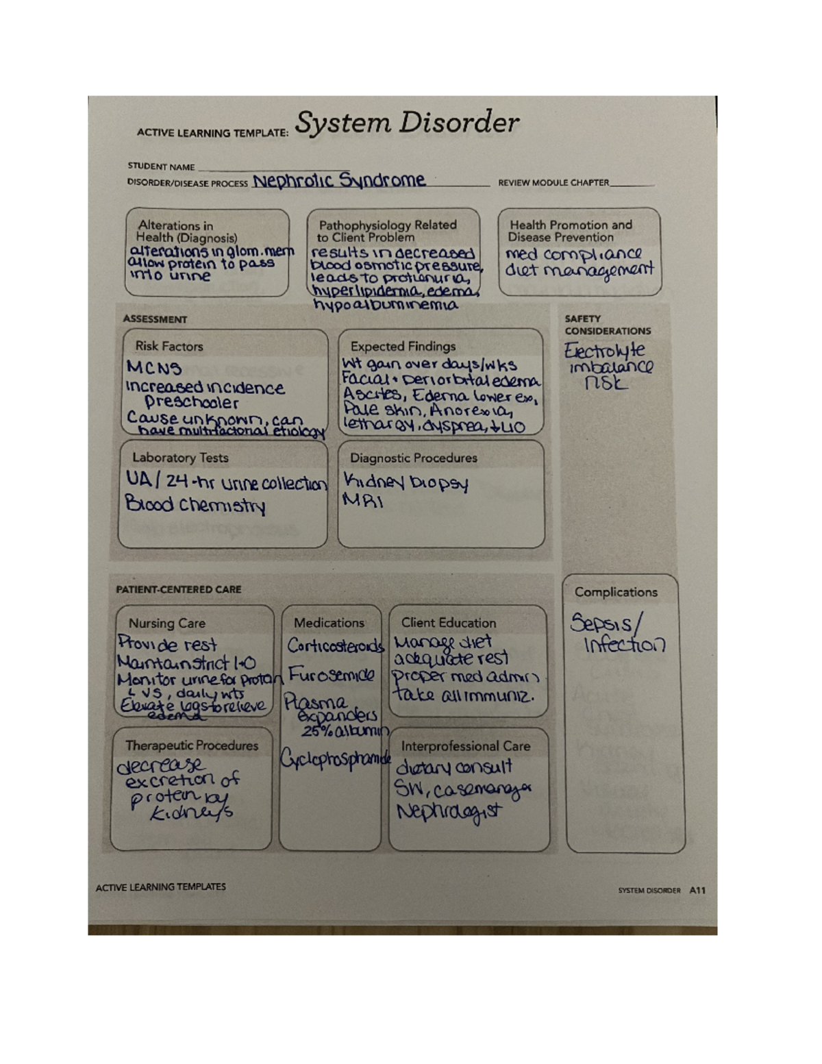 Nephrotic Syndrome Active Learning Template - ACTIVE LEARNING TEMPLATE ...