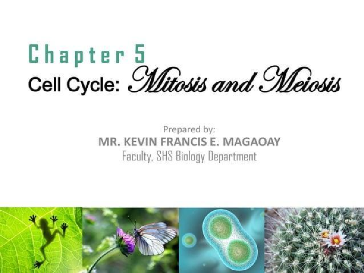 Chapter 5: Cell Cycle - Mitosis and Meiosis Overview (SHS Biology ...