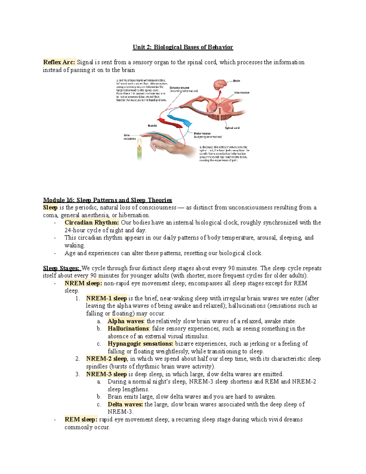 PSY 101 AP Psychology - Exam 3 Prep Notes - Unit 2: Biological Bases of ...