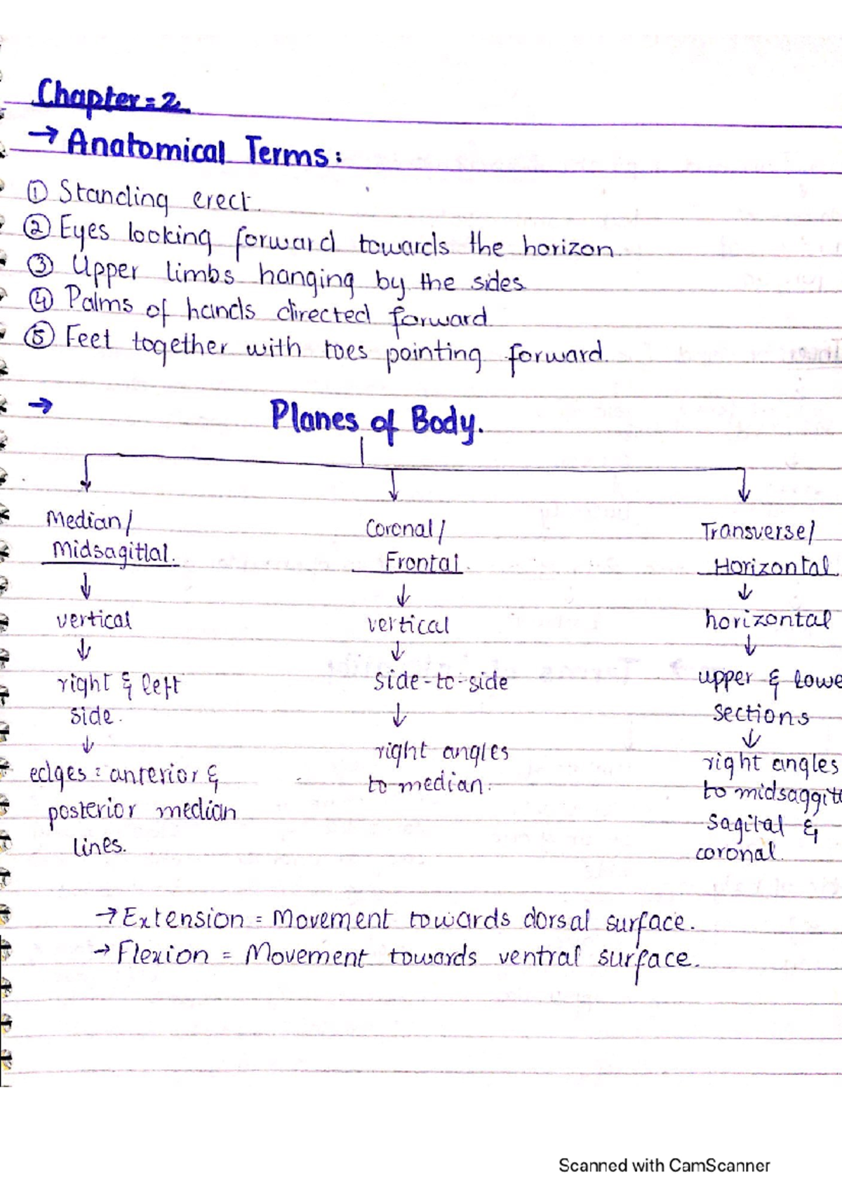 General Anatomy Notes: Key Terms, Structures, and Functions - Studocu
