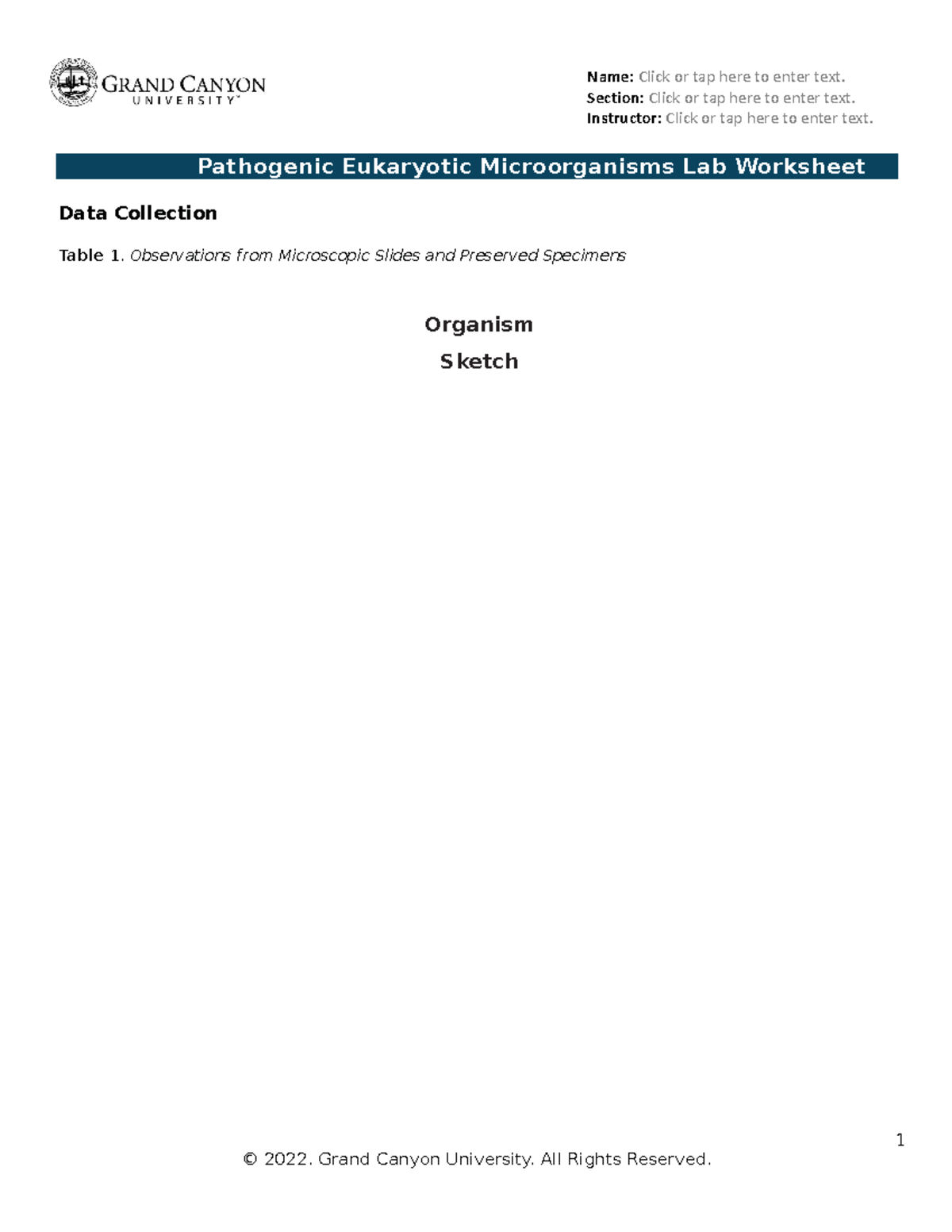 BIO-205L-RS-Lab 13: Pathogenic Eukaryotic Microorganisms Worksheet ...