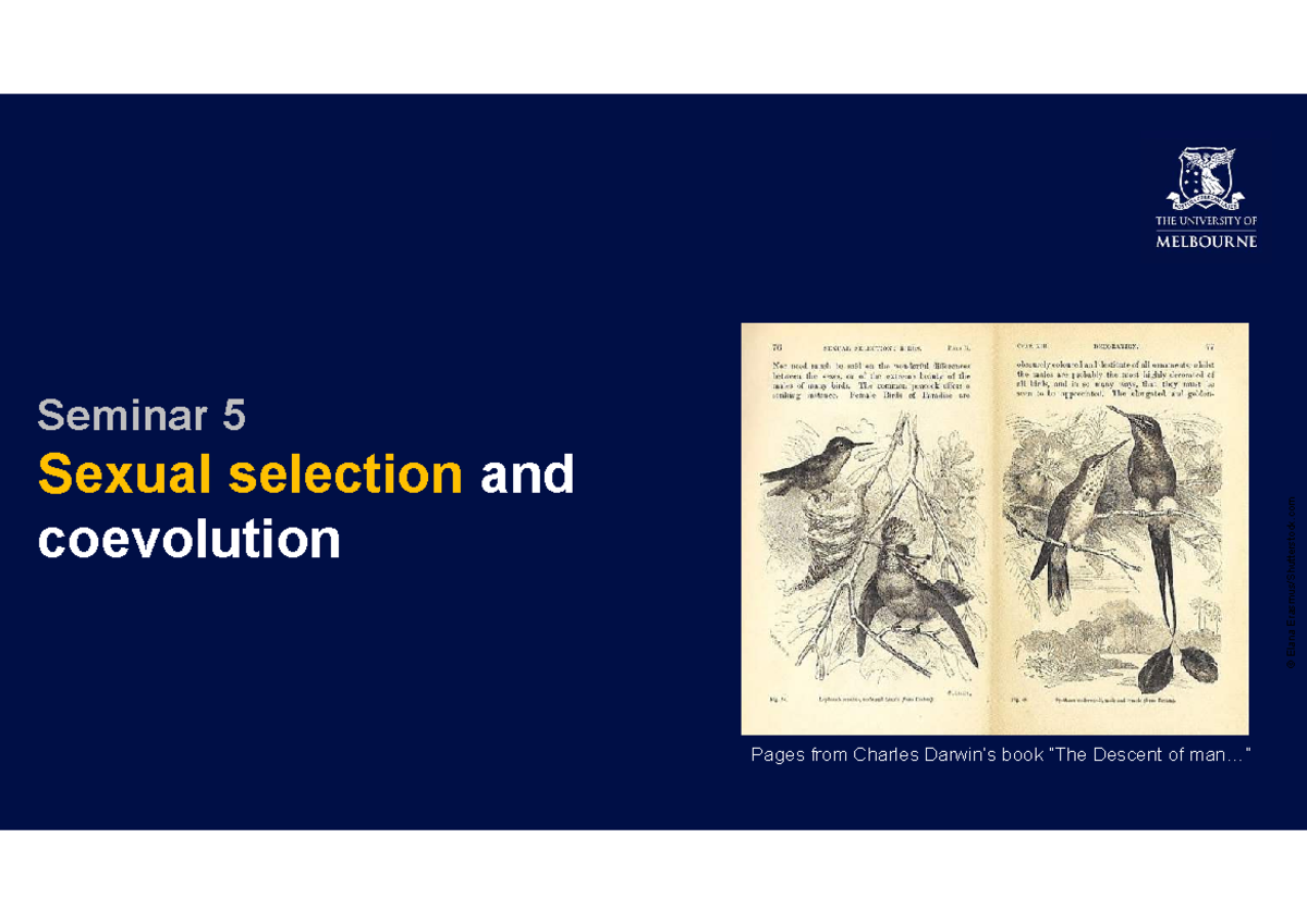 Seminar 5: Sexual Selection and Coevolution Insights - Studocu