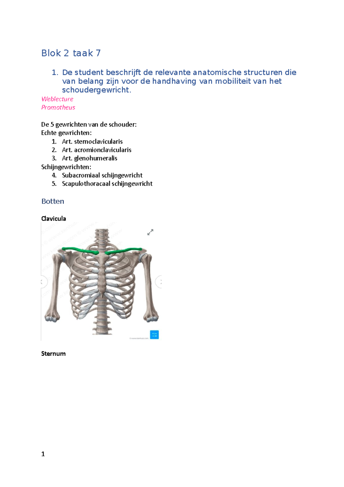 Blok 2 Taak 7: Anatomie en Pathologie van de Schoudergewrichten ...