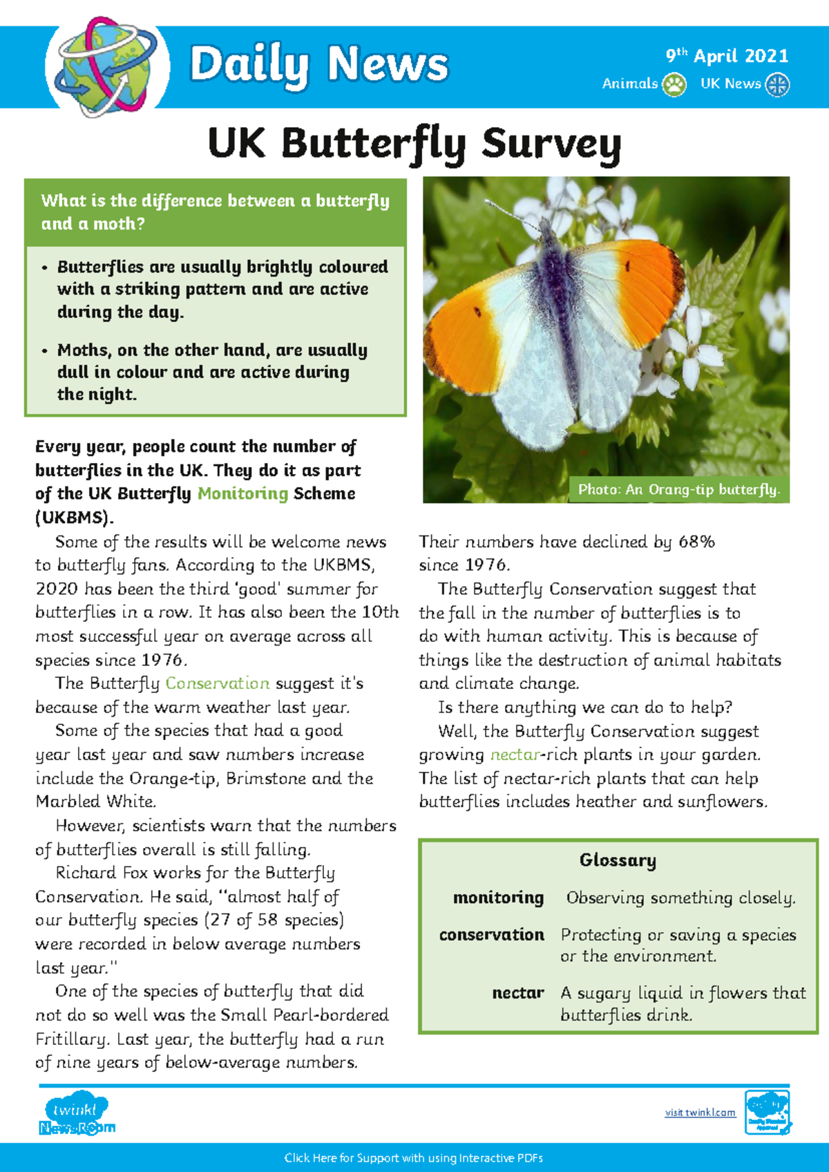 Daily Article - UK Butterfly Survey Insights - KS2 (7-9) - Studocu