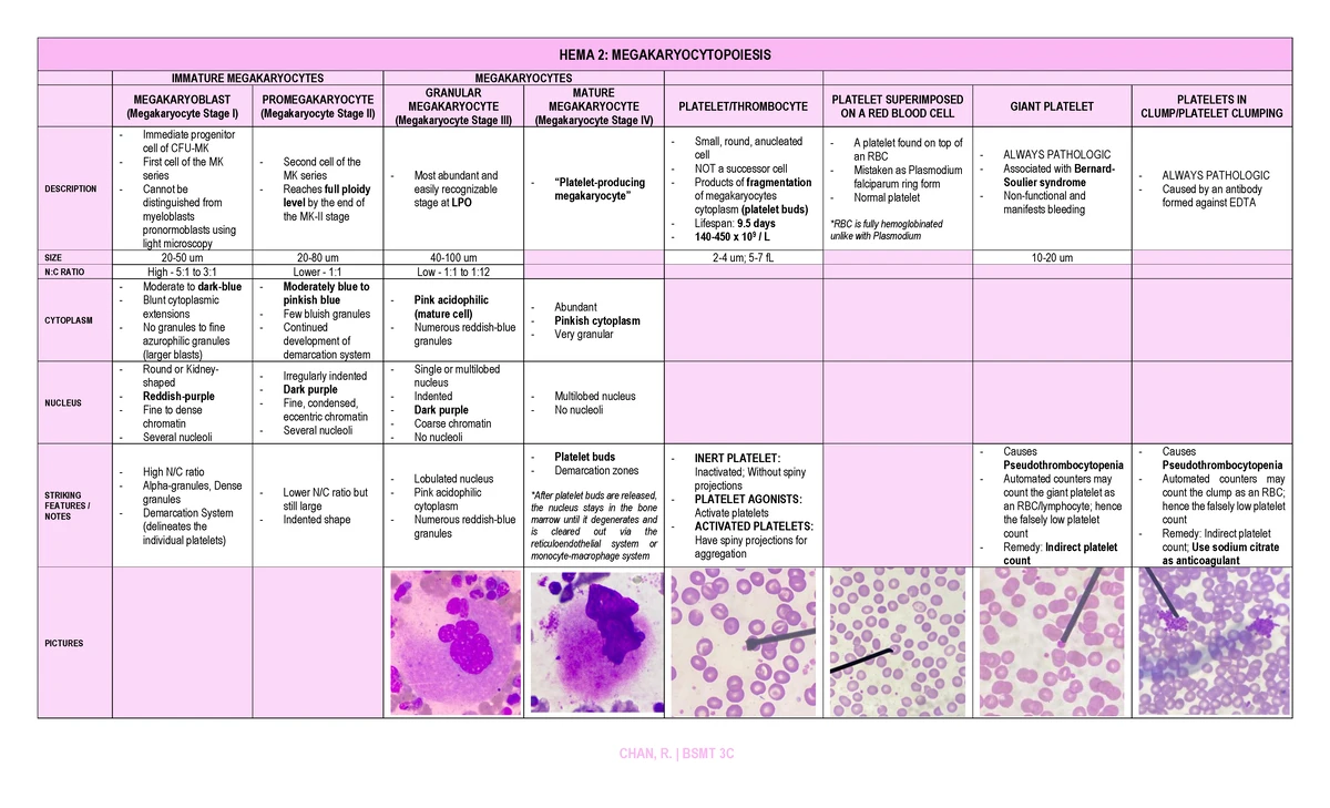 Hema 2 - Clinical Significance Tables for Hemostasis & Coagulation ...
