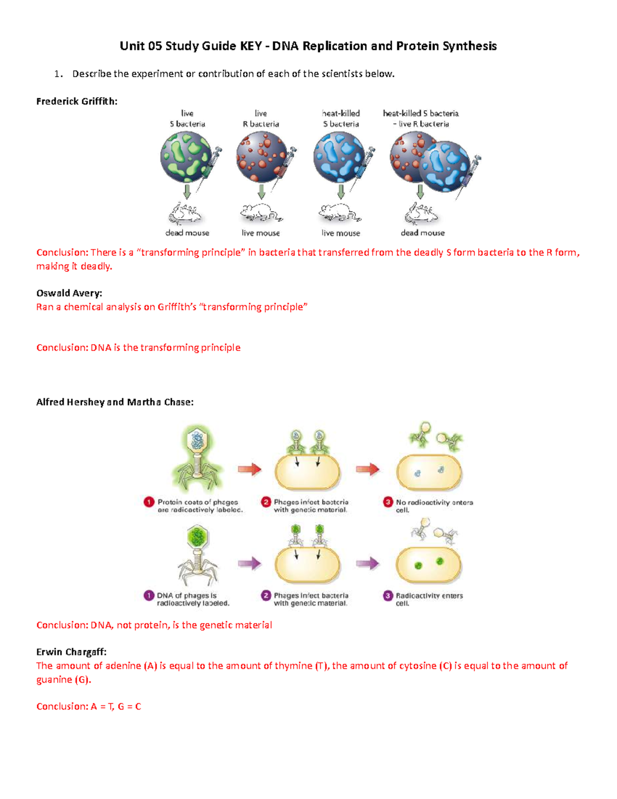 Unit 05 Study Guide KEY: DNA Replication & Protein Synthesis Concepts ...