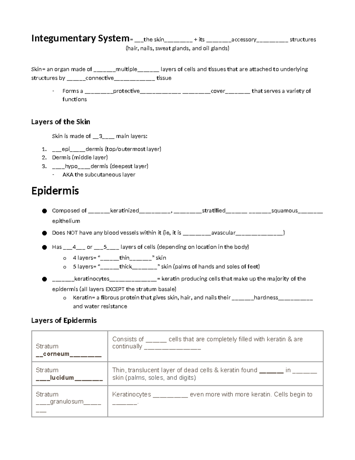 Copy of Copy of Integumentary System Notes Skin - Integumentary System ...