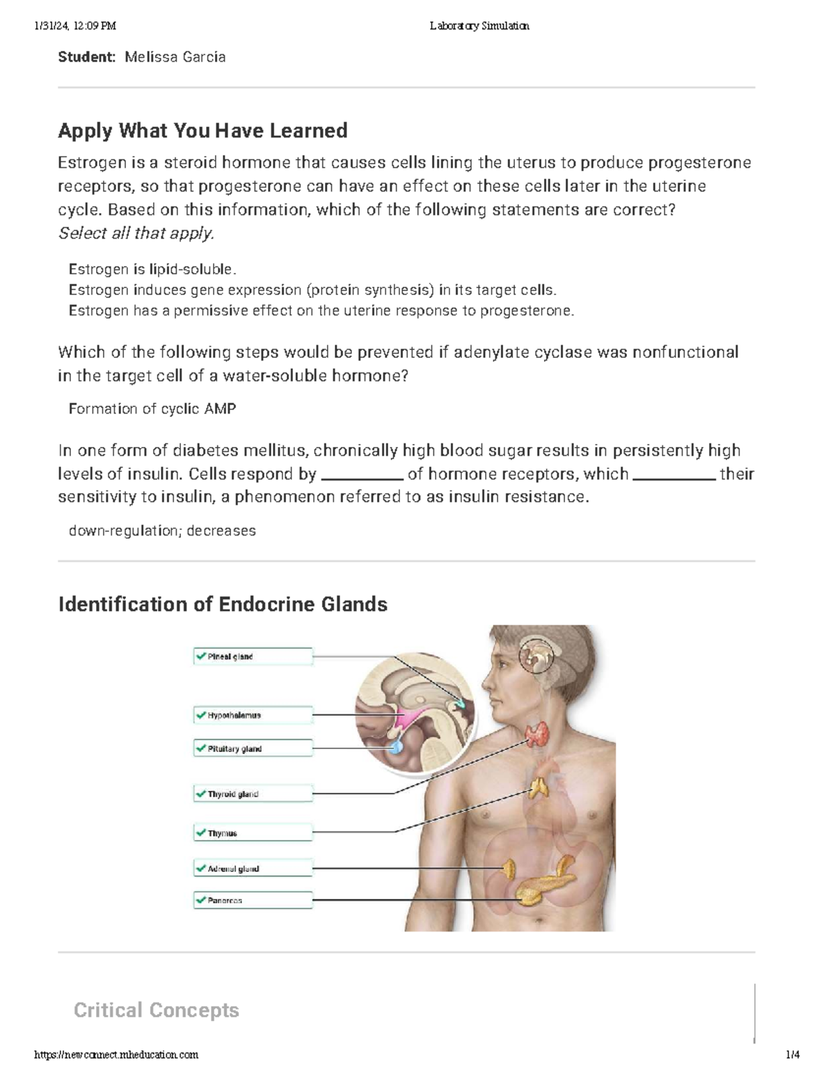 Endocrine System - Concept Overview (BIO 101) - Studocu