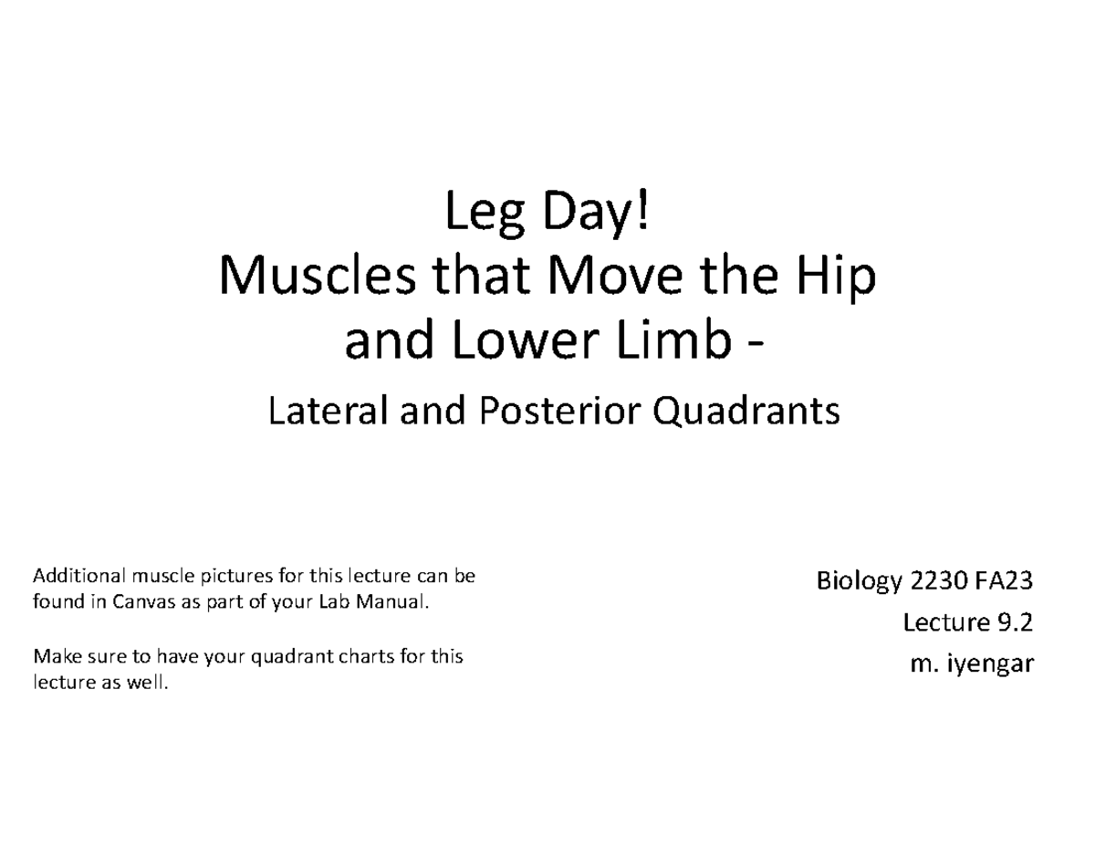 Anatomy of the Appendicular Muscles - Biology 2230 FA23 Lecture 9.2 ...