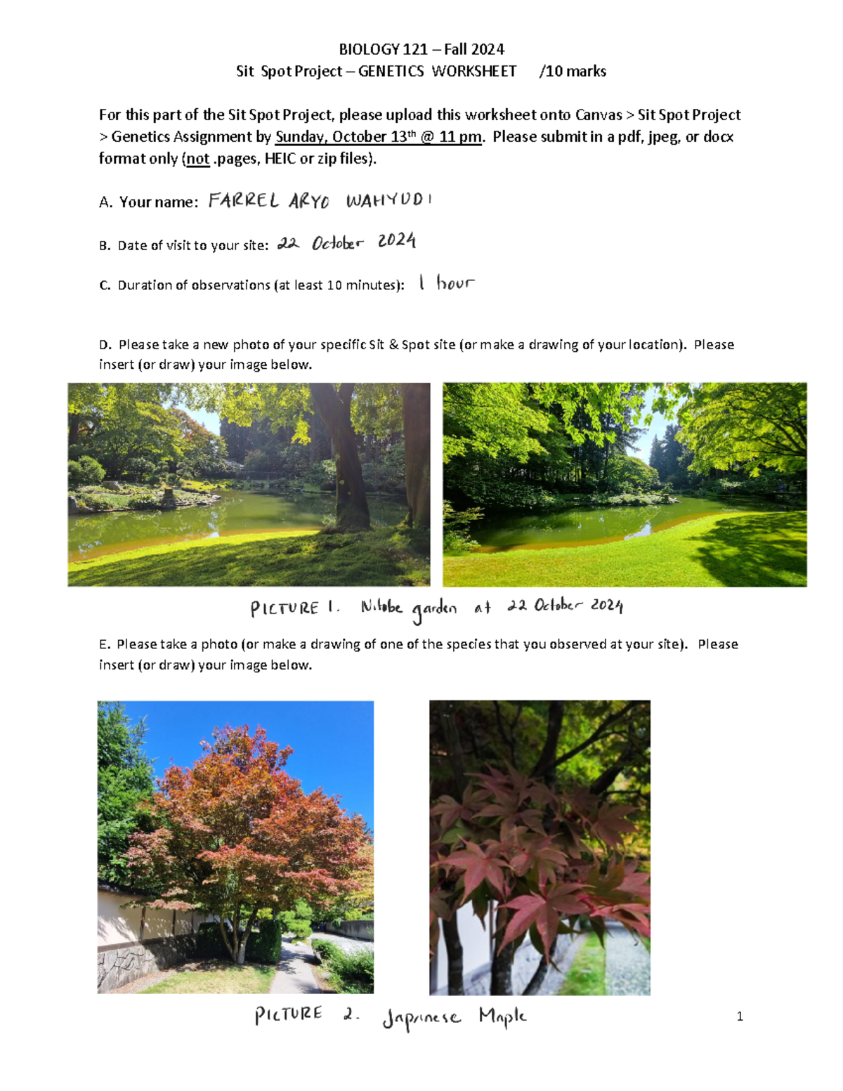 Sit Spot Porject Genetics - BIOLOGY 121 – Fall 2024 Sit Spot Project ...