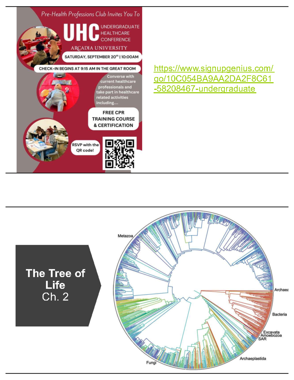 Lin. Taxonomy & Species Concepts: Structuring Bio. Diversity (Ch. 2-3 ...