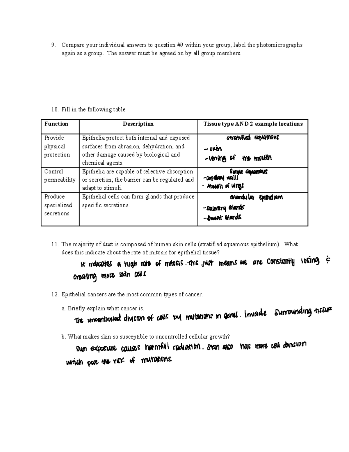 Chapter 2: Lab 2 Histology - Epithelial Tissue Functions & Cancer ...