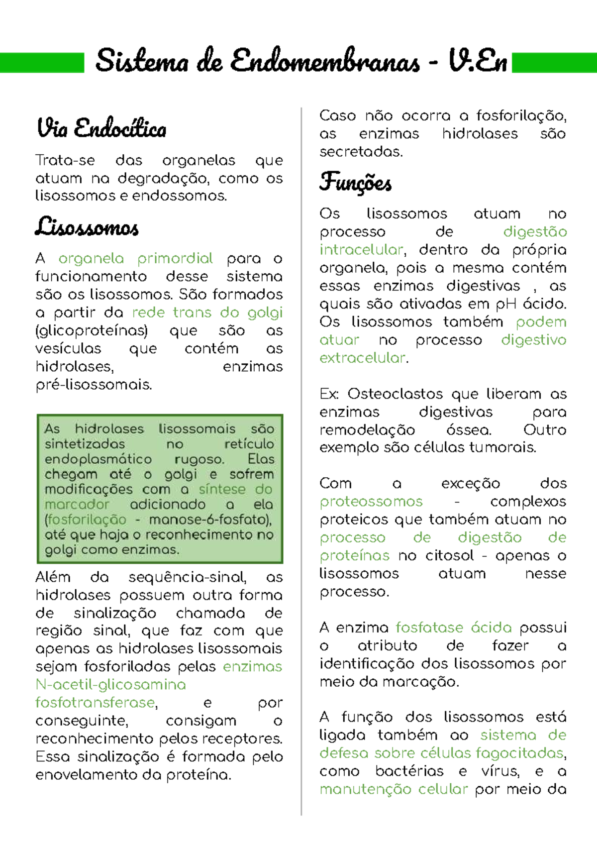 Sistema de Endomembranas: Lisossomos e Endossomos - V.EN - Studocu