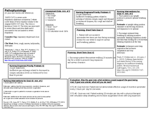 NUR 215 CJ Concept Map Assignment pain (1) - Name Sara Bridger Clinical ...