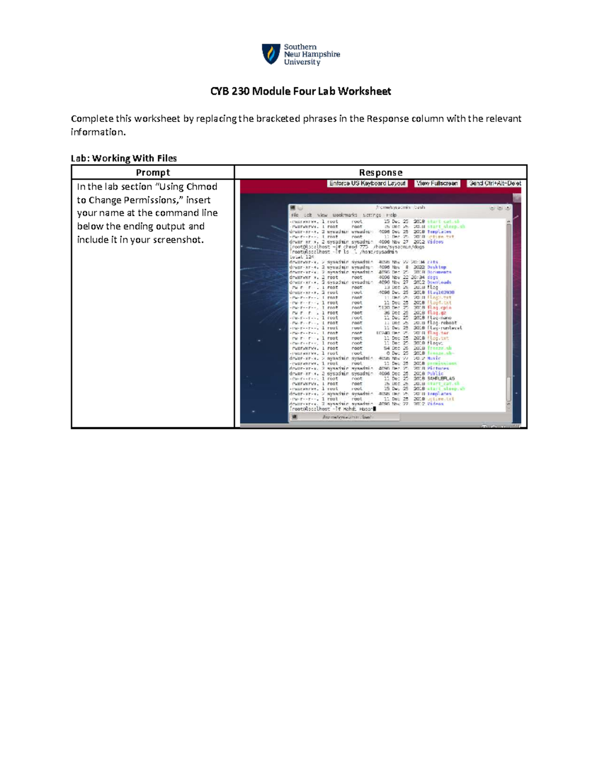 CYB 230 Module Four Lab Worksheet 1 - CYB 230 Module Four Lab Worksheet ...