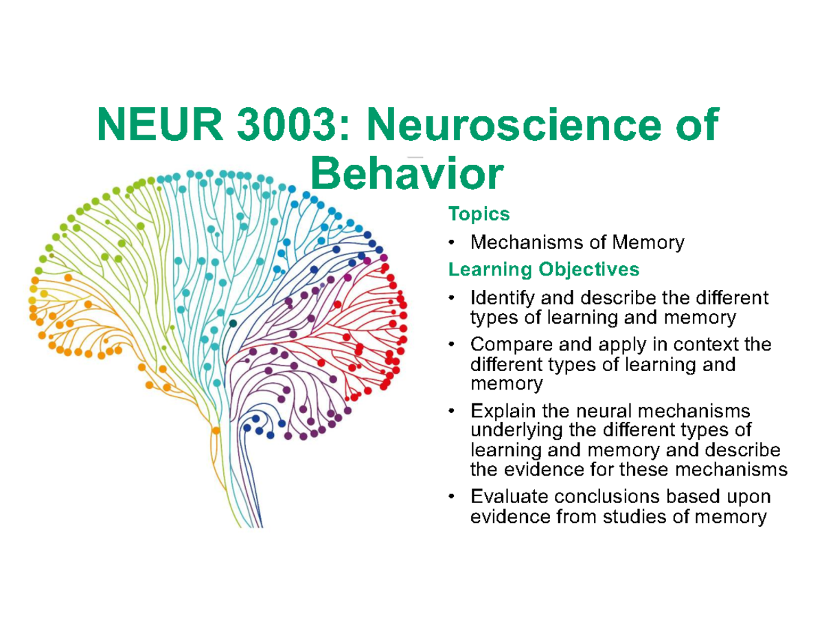 NEUR3003 Final Exam: Mechanisms of Memory and Learning Dynamics - NEUR ...
