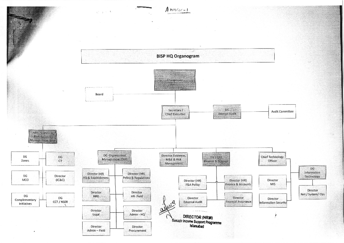 BISP Organizational Structure Overview - APS 01 01 01 - Studocu