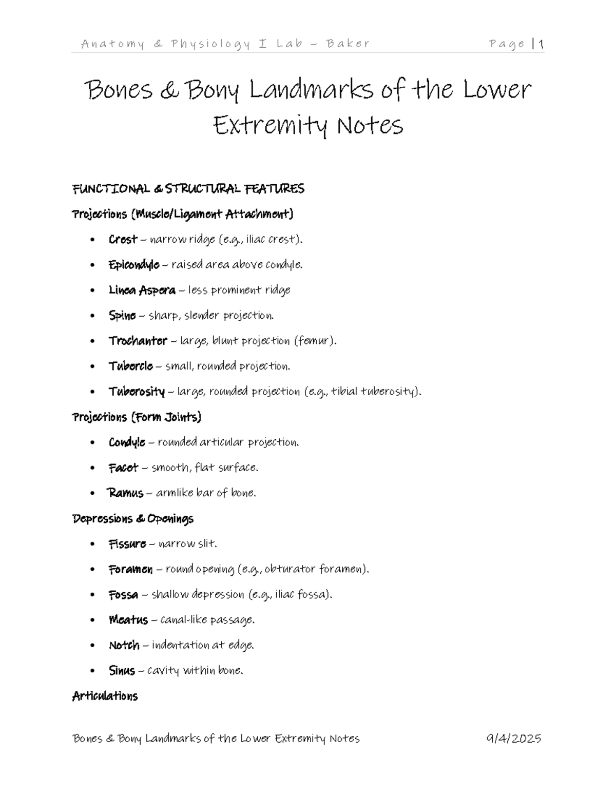 Anatomy Physiology I Lab: Bones & Bony Landmarks of the Lower Extremity ...