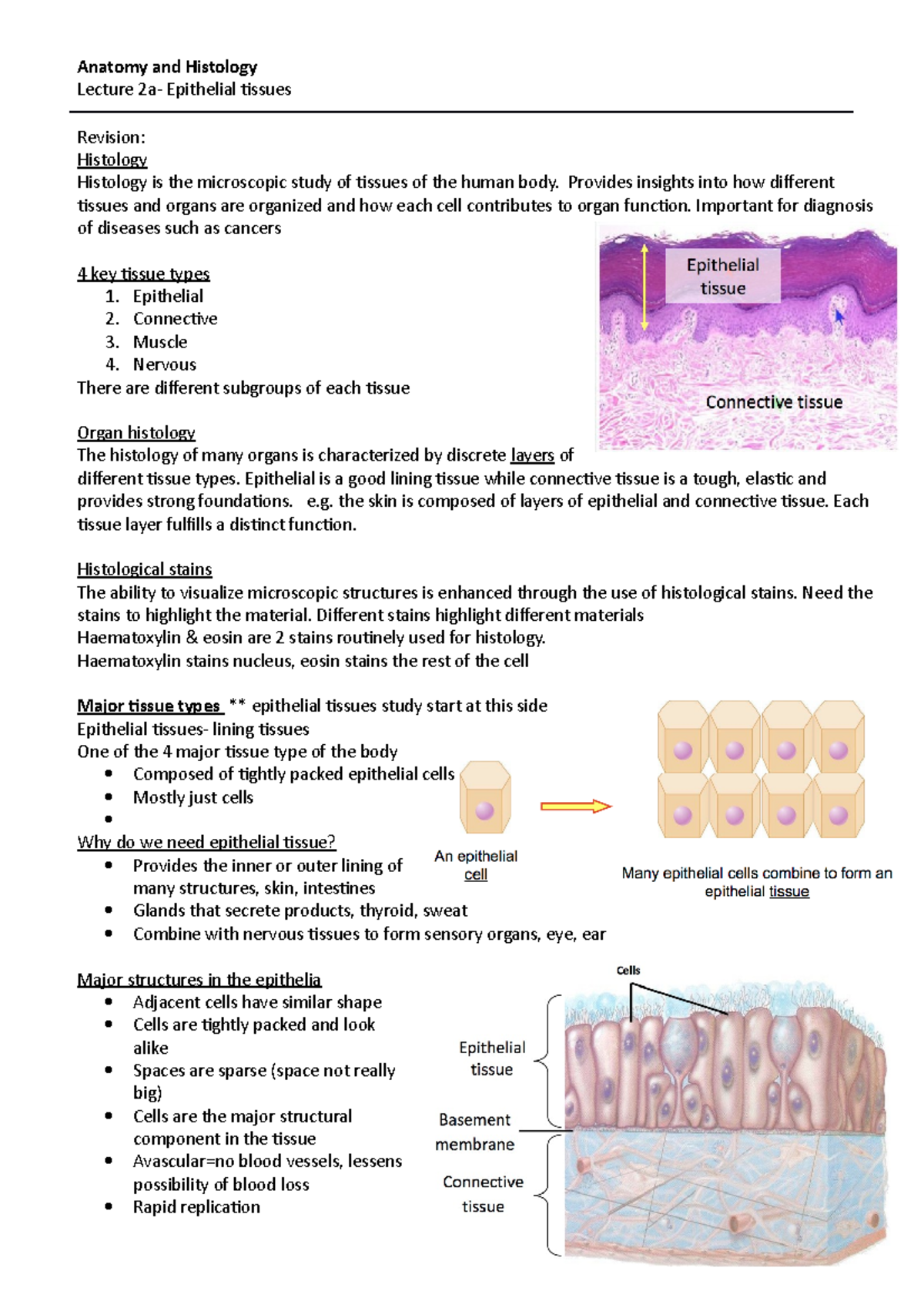 Epithelial Tissue Overview - LSB255 Lecture 2a Notes - Studocu