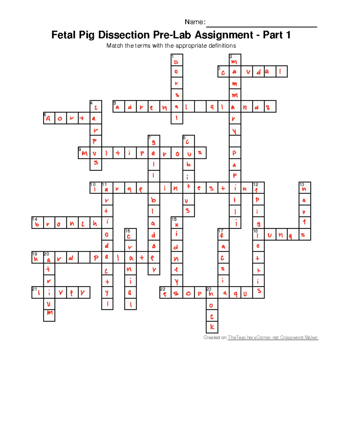 Fetal Pig Dissection Pre-Lab Assignment - Part 1 - BIO-181L - Studocu